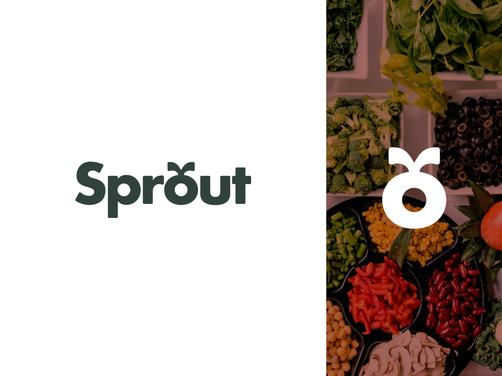 Sprout | logo design by Kim Barsegyan | Exokim on Dribbble
