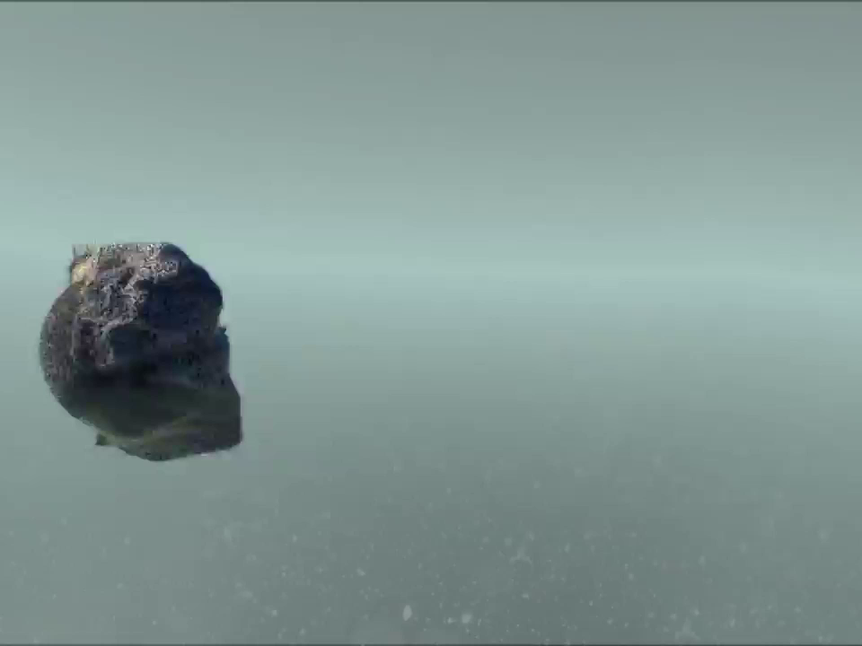 Particles Test By Aparicio Debali On Dribbble