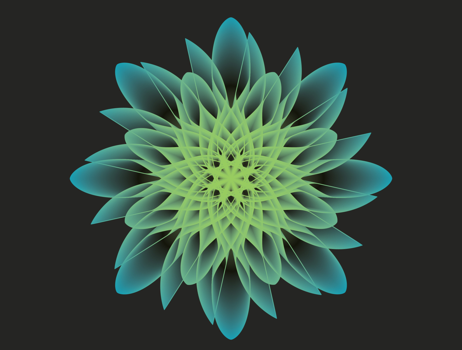 3D Flower by Varsha on Dribbble