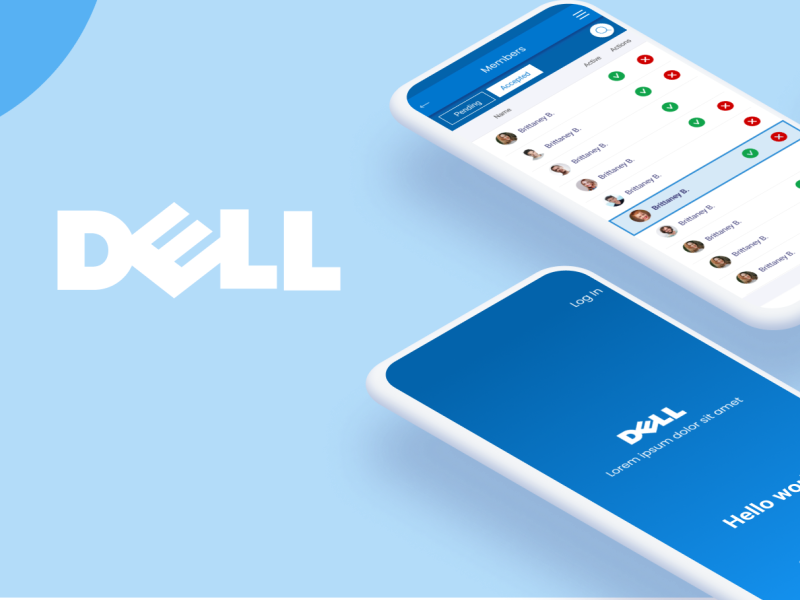 Application development for DELL SYSTEM by Goracio on Dribbble