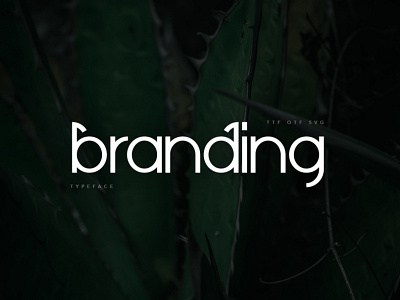 Alignment Modern Font by Design Stag on Dribbble