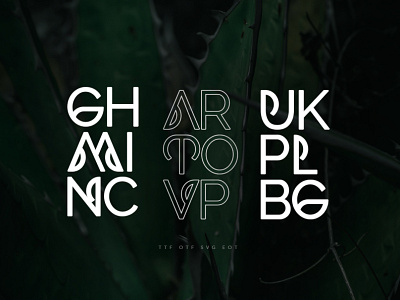 Alignment Modern Font by Design Stag on Dribbble