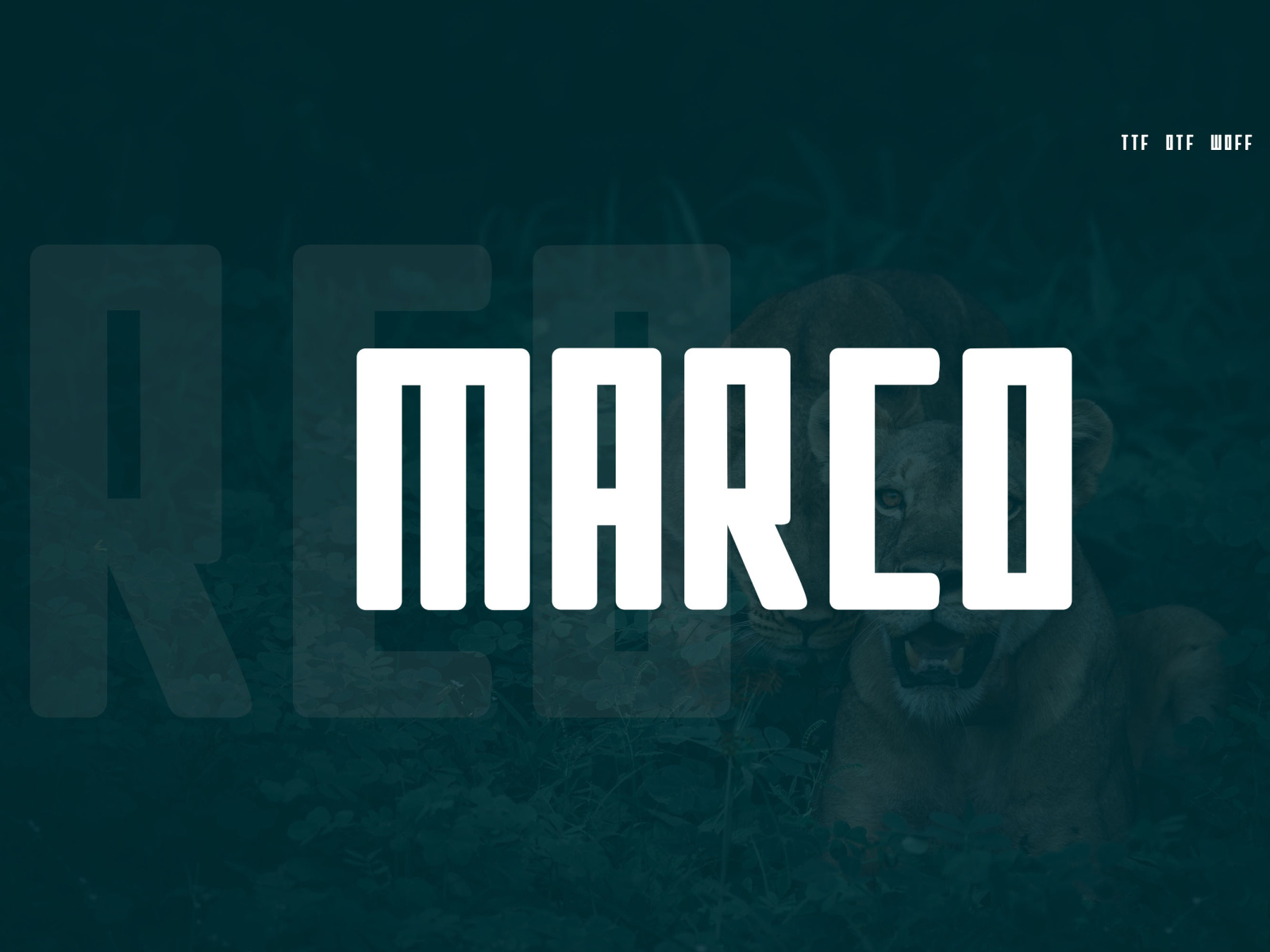 Macro Font by Design Stag on Dribbble