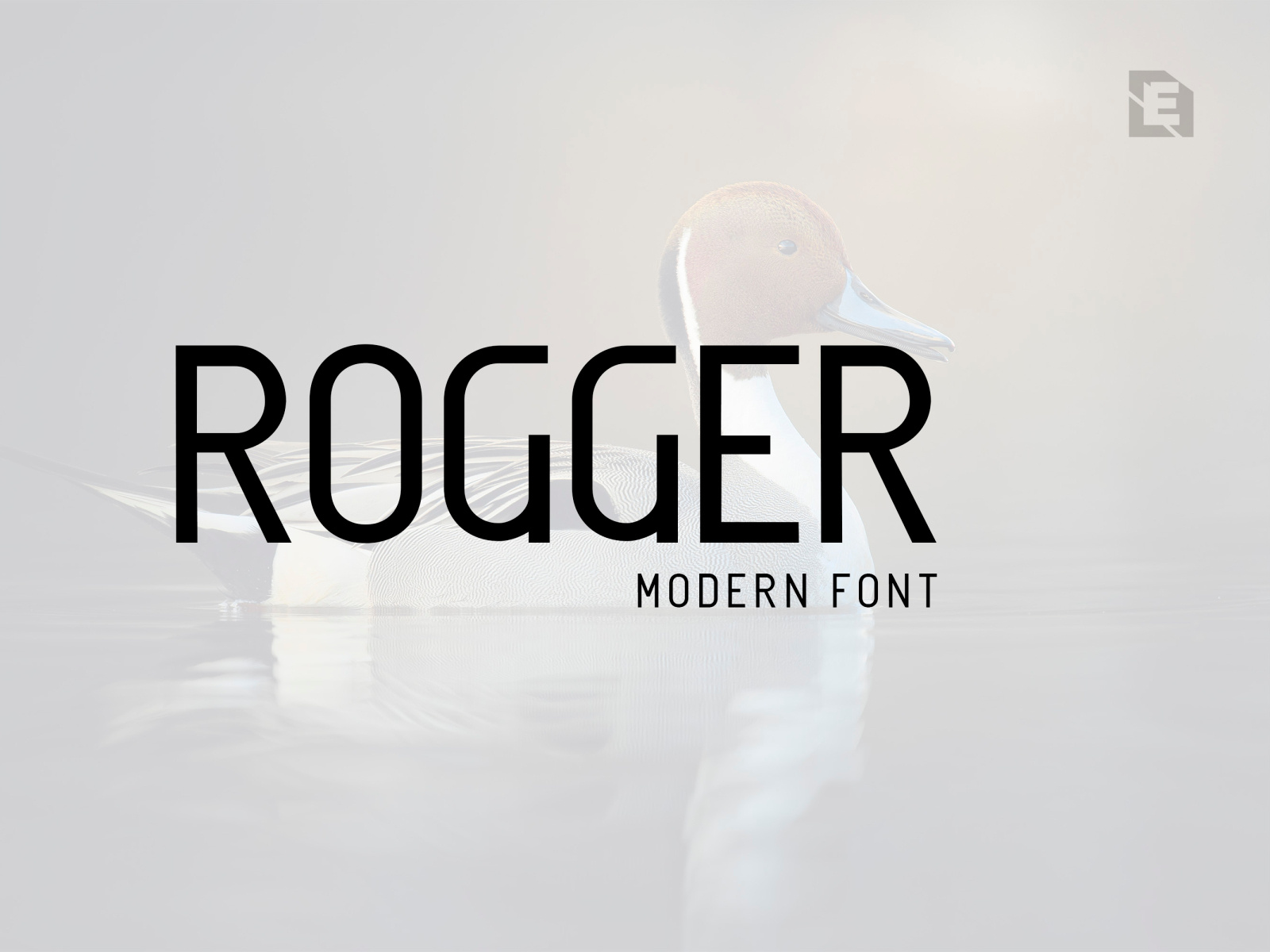 Rogger Modern Font by Design Stag on Dribbble