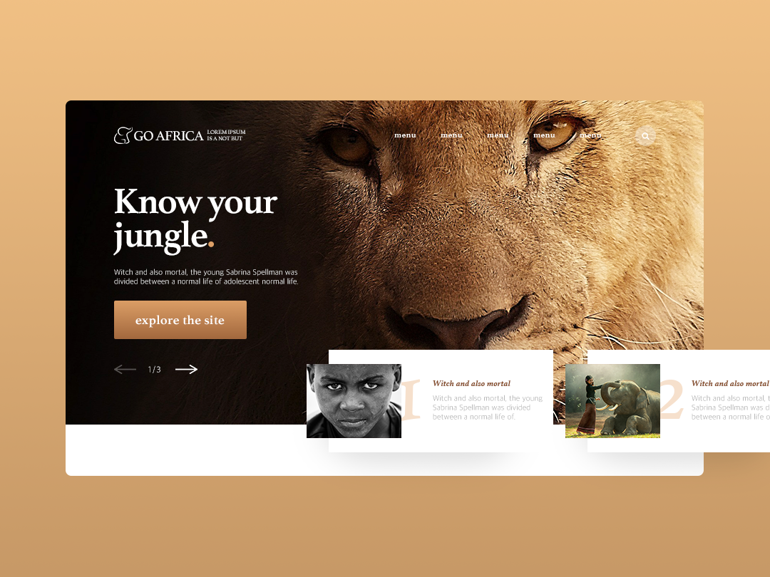 African Page Ui Design by Fillipe Luis on Dribbble