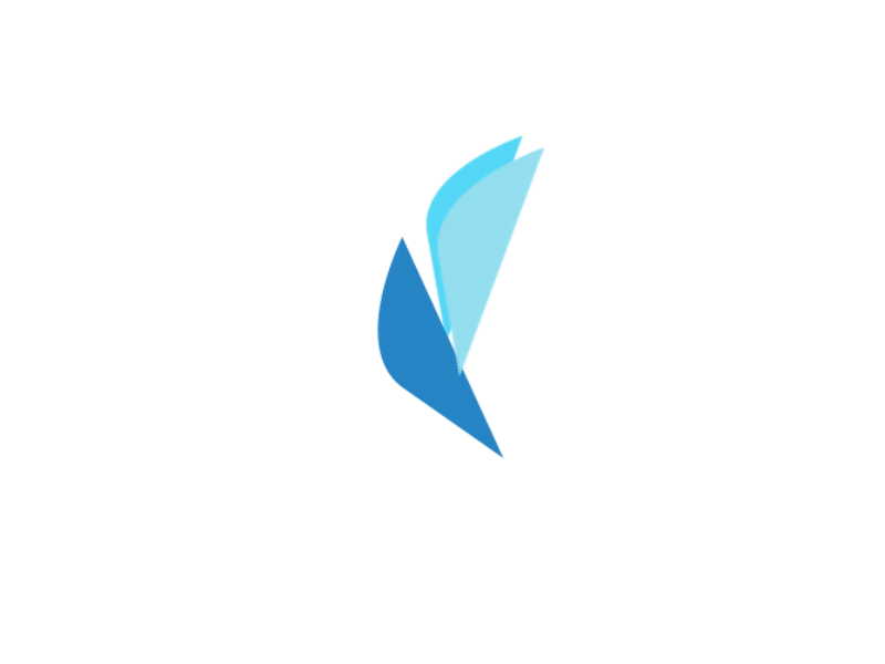 Loading bird Lottie JSON animation by lottiefilestore on Dribbble