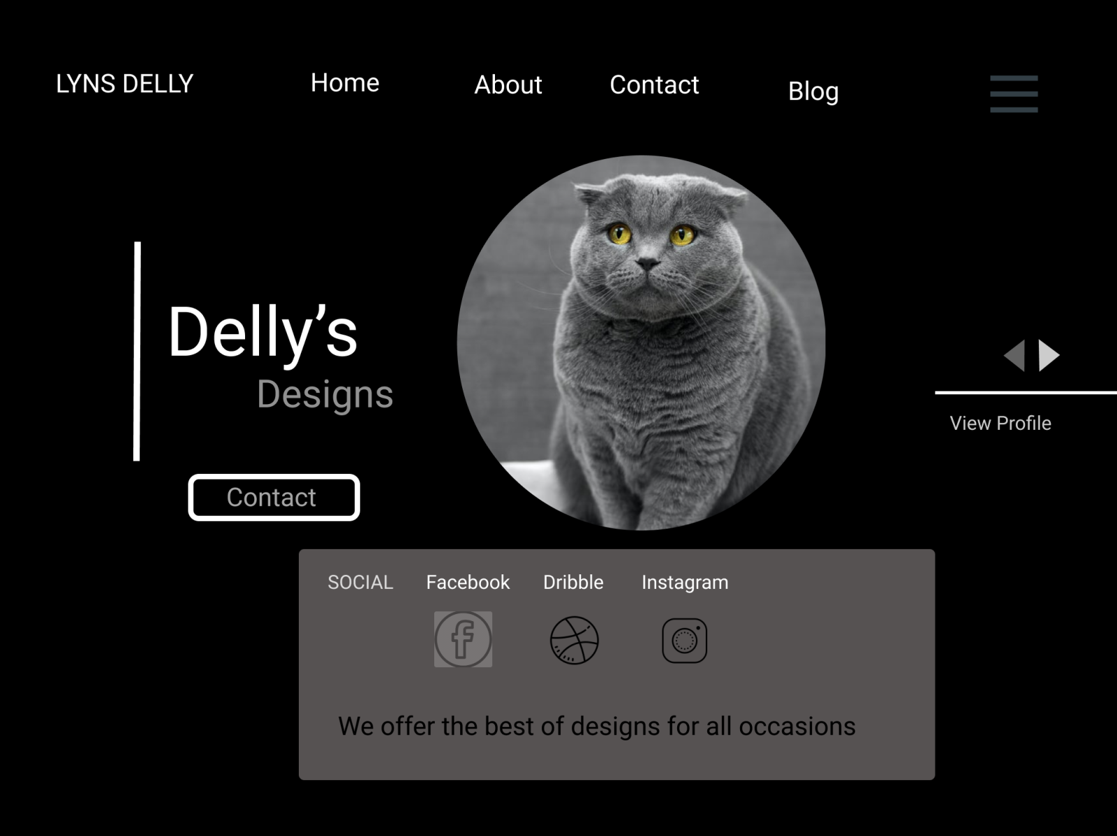 Catty page by Linda Dassah on Dribbble