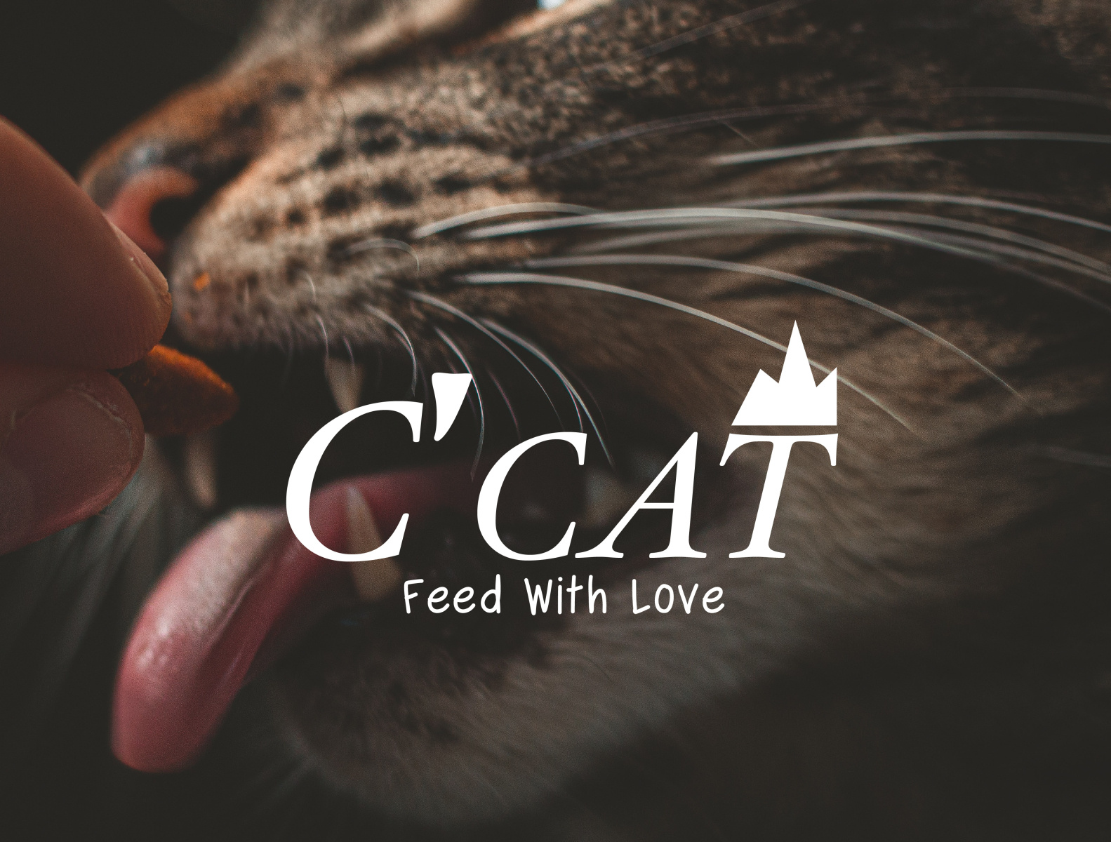 C'Cat logo design by Studio Mici on Dribbble