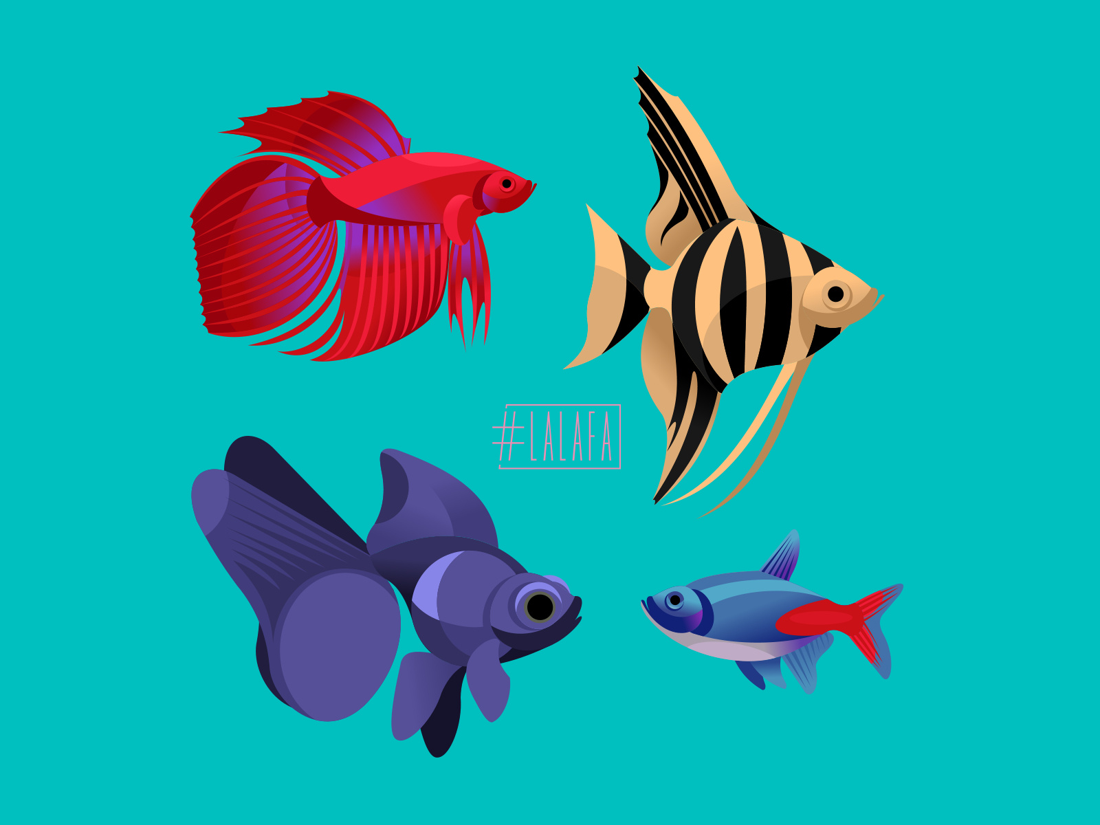Aquarium fish by Margo Uralskaia on Dribbble