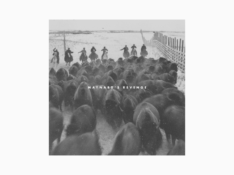 Maynard's Revenge by Kyle Barrett on Dribbble