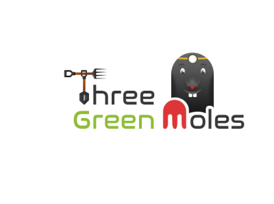 Custom Logo Design Services by Trigma by Trigma Inc on Dribbble