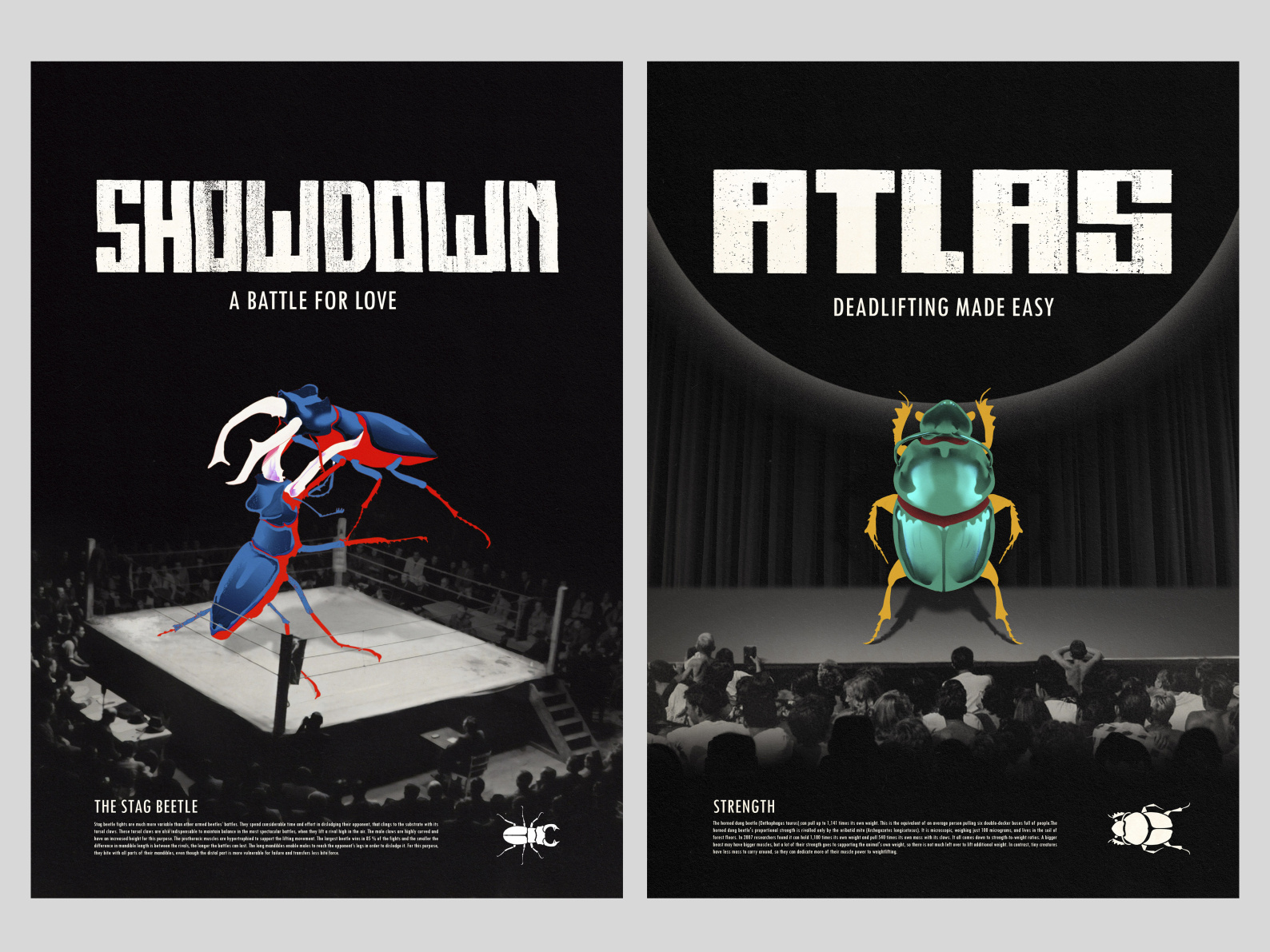 Insect posters v.1 by Ionut Baciu on Dribbble