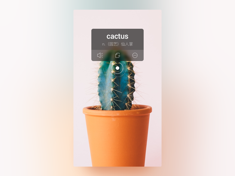 pop up for kingsoft PowerWord_Dictionary app by Sue_ on Dribbble