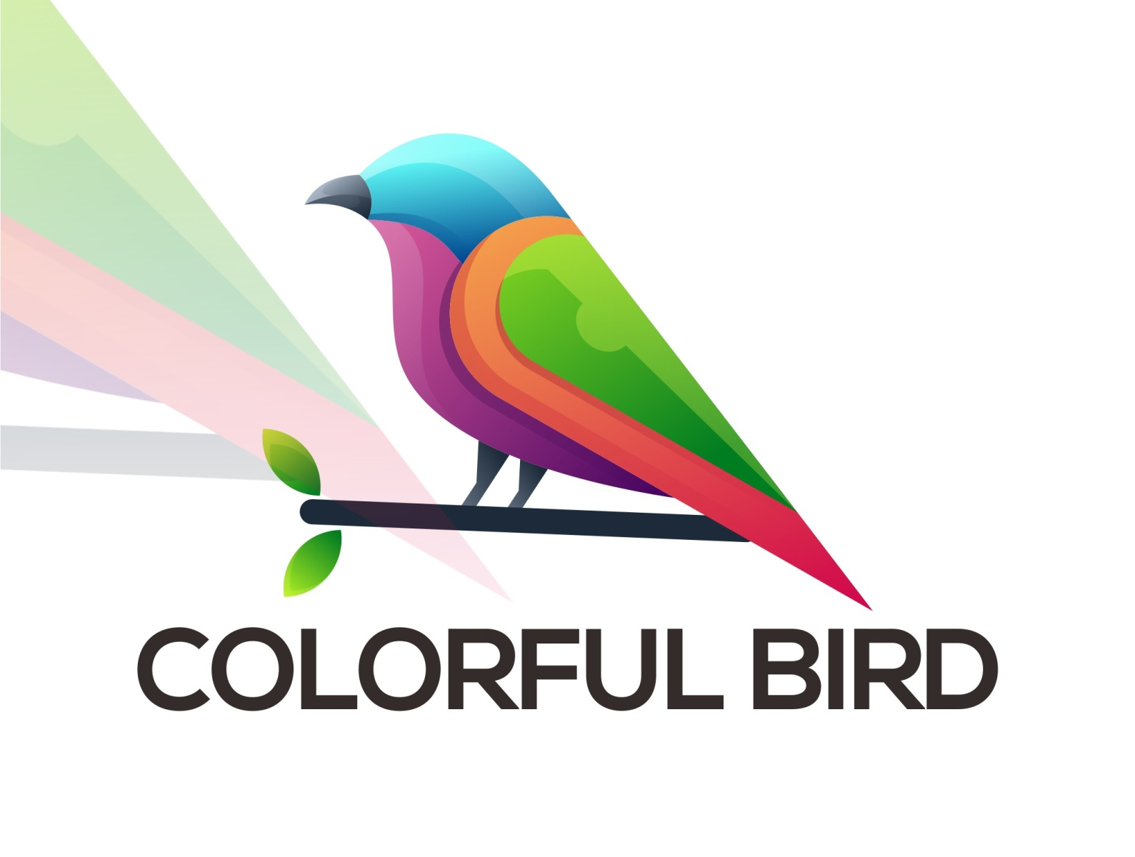 Bird logo colorful by Cleverbunny on Dribbble