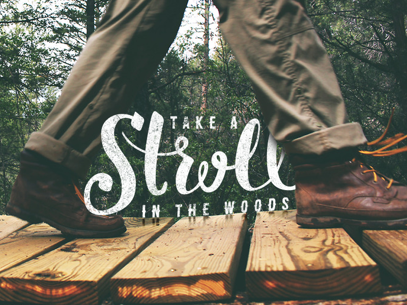 Take a stroll in the woods by danijanev on Dribbble