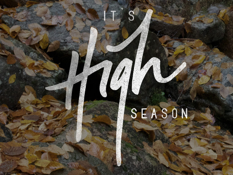 It's high season by danijanev on Dribbble