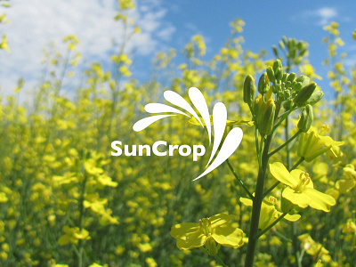 Suncrop designs, themes, templates and downloadable graphic elements on ...