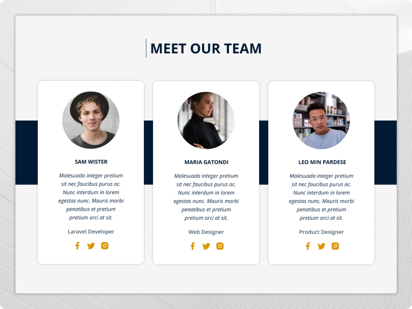 Team Member Carousel by Moshahed Somrat on Dribbble