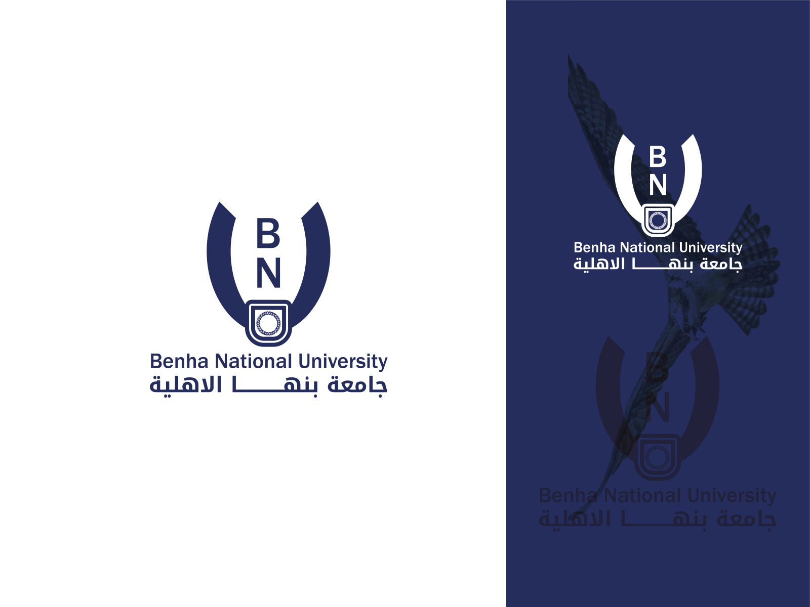 BNU by Ahmed Abdulgaleel on Dribbble
