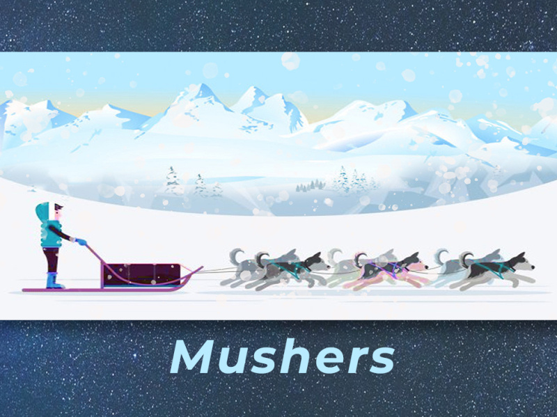 Mushers Banner design by Reeda E Fatema on Dribbble