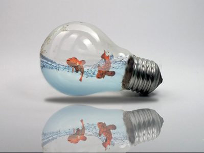 Fish inside the bulb by Deniz on Dribbble