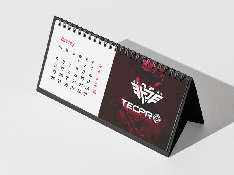 Tec Pro - Visual Identity by Dante Reis on Dribbble