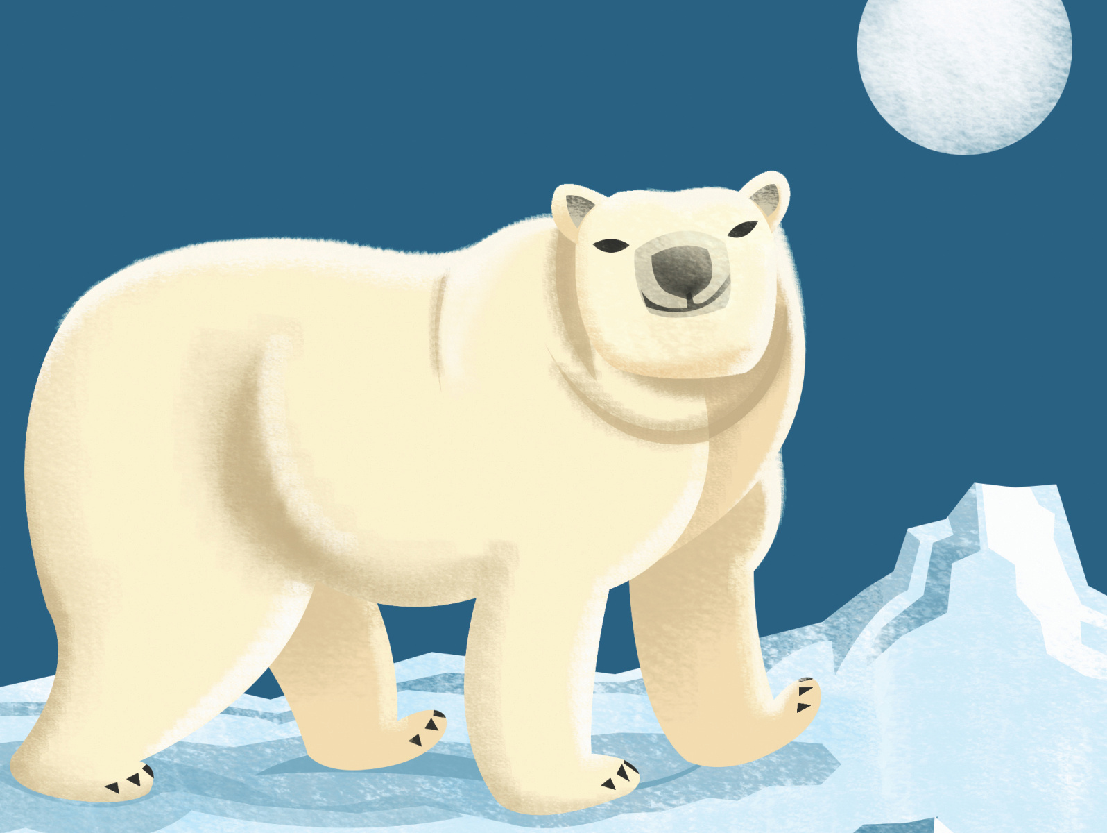 Ed Koehler Illustrator | Dribbble