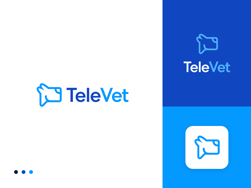 TeleVet 5 by Brent Palmer on Dribbble