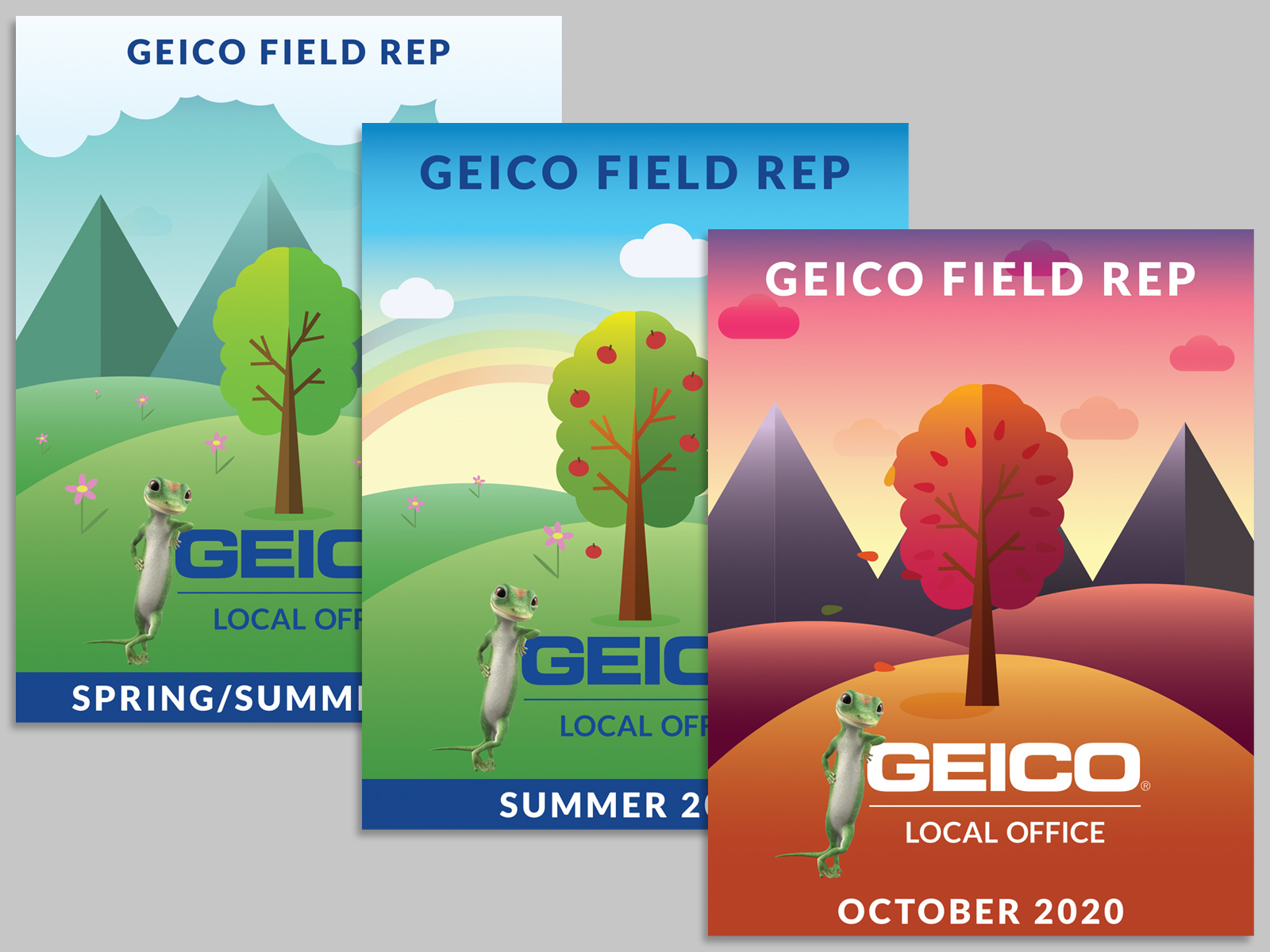 GEICO Field Rep Product Catalog by Meghan Aloshen on Dribbble