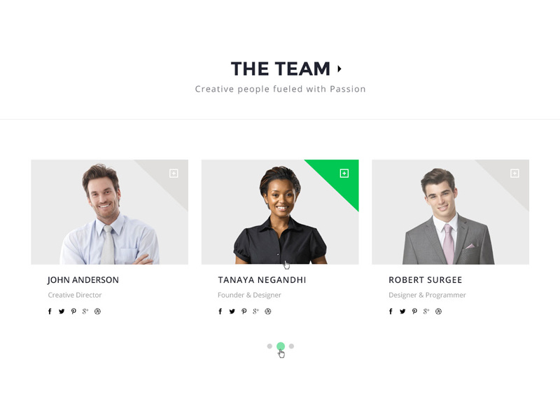 Team Section by amol on Dribbble