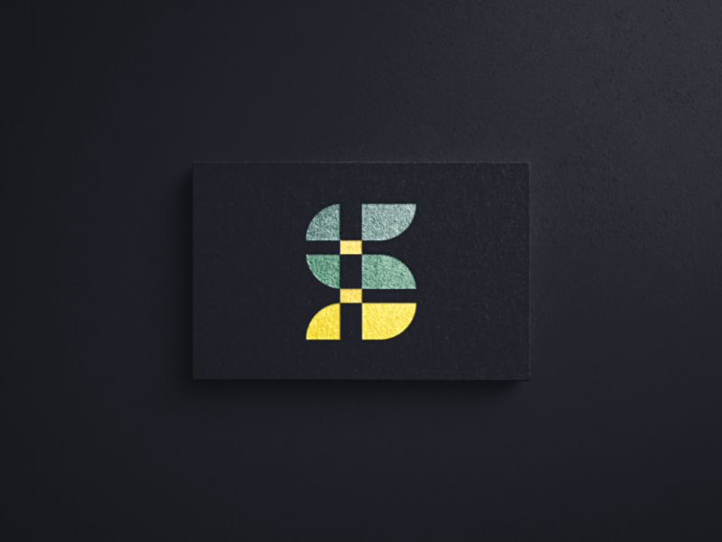 S E Logo Concept by Rutvik Patel on Dribbble