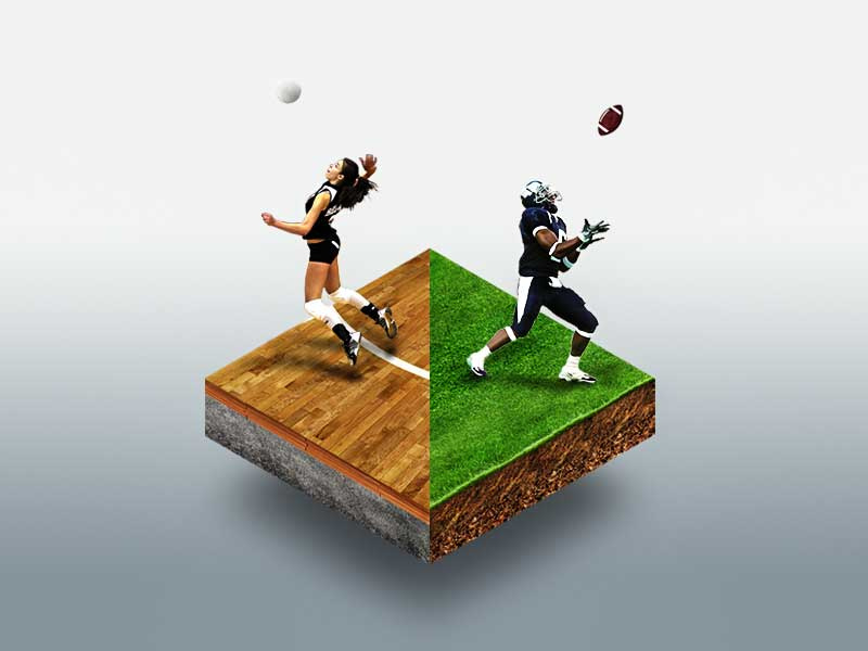 Fall Season Sports by Paula Viray on Dribbble