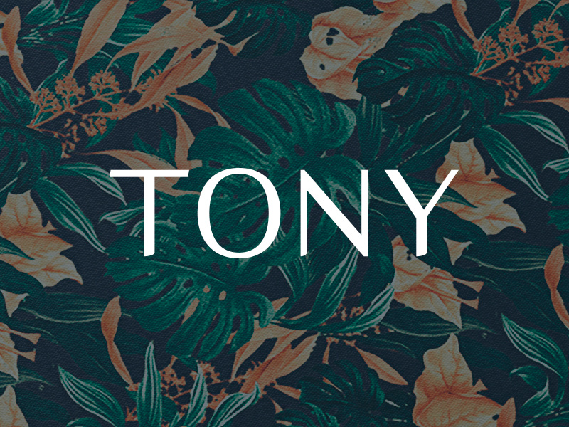 TONY by K O O Z M E E N on Dribbble