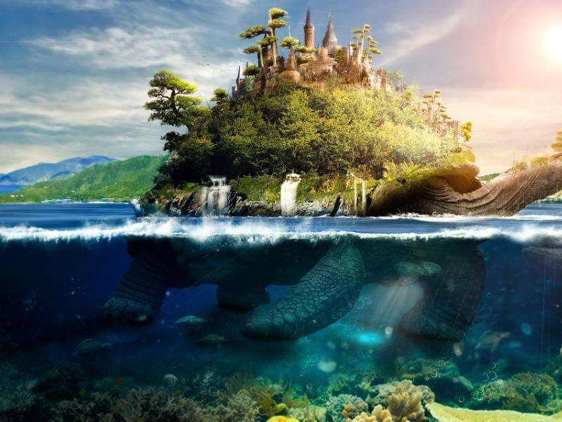 Sea turtle manipulation by Heba Zakaria on Dribbble