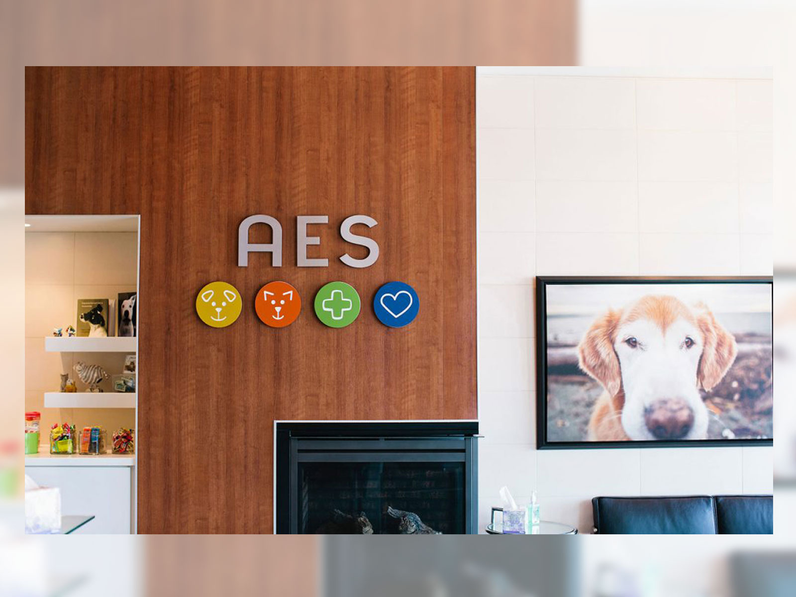 Animal Emergency Services (AES) by Dara Chilton @ 7 Lucky Dogs Creative ...