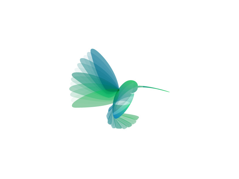 Hummingbird by Elliot Greenwood on Dribbble