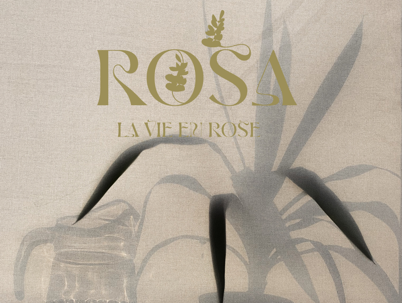 ROSA BRANDING by Creative Designer I Art Director on Dribbble