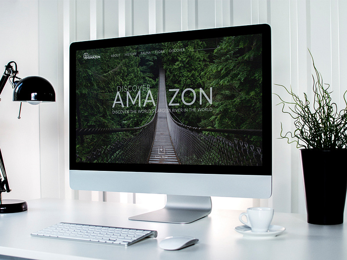 Amazon World Landingpage by Antony Nosenko on Dribbble