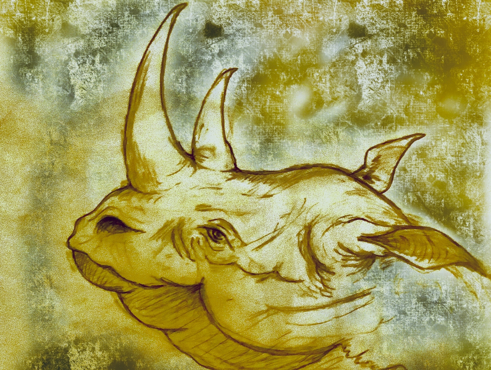 Rhino by Gordon Lewis on Dribbble