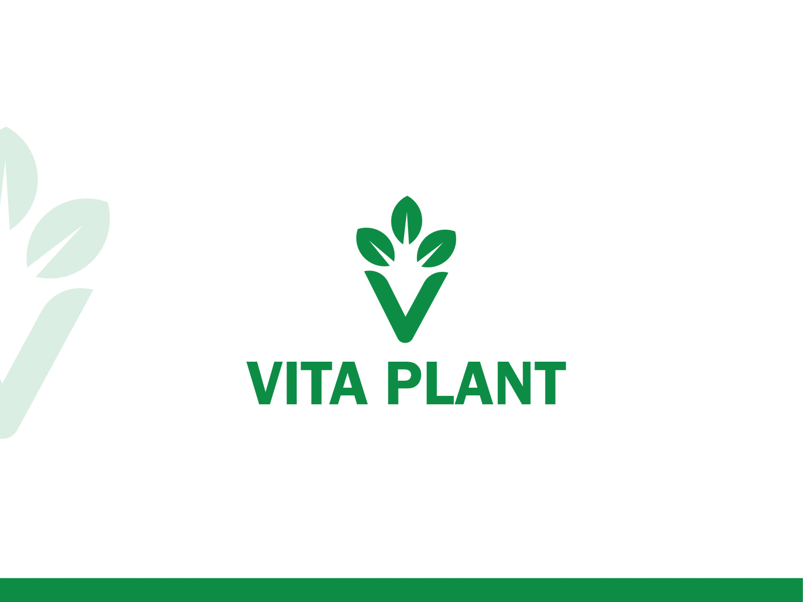 PLANT LOGO by Desol on Dribbble