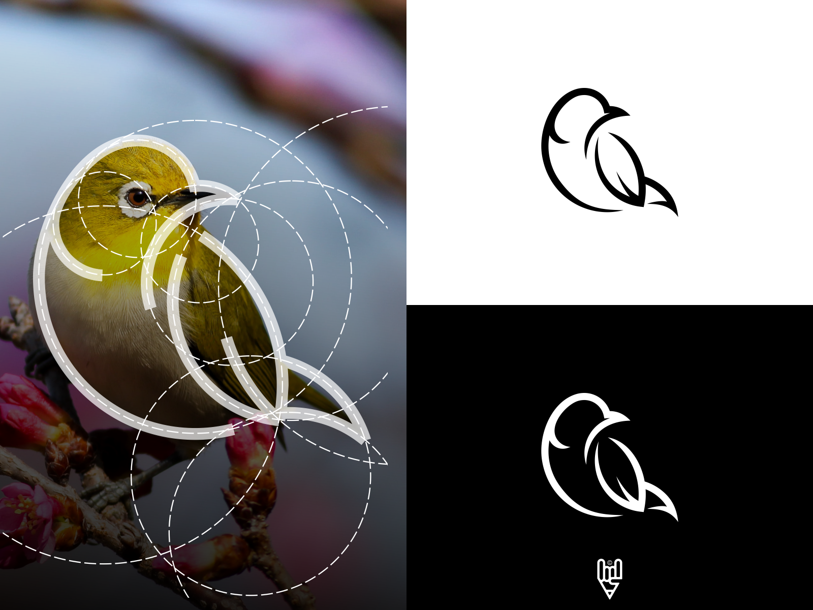 Bird Logo Design by chartstudio on Dribbble
