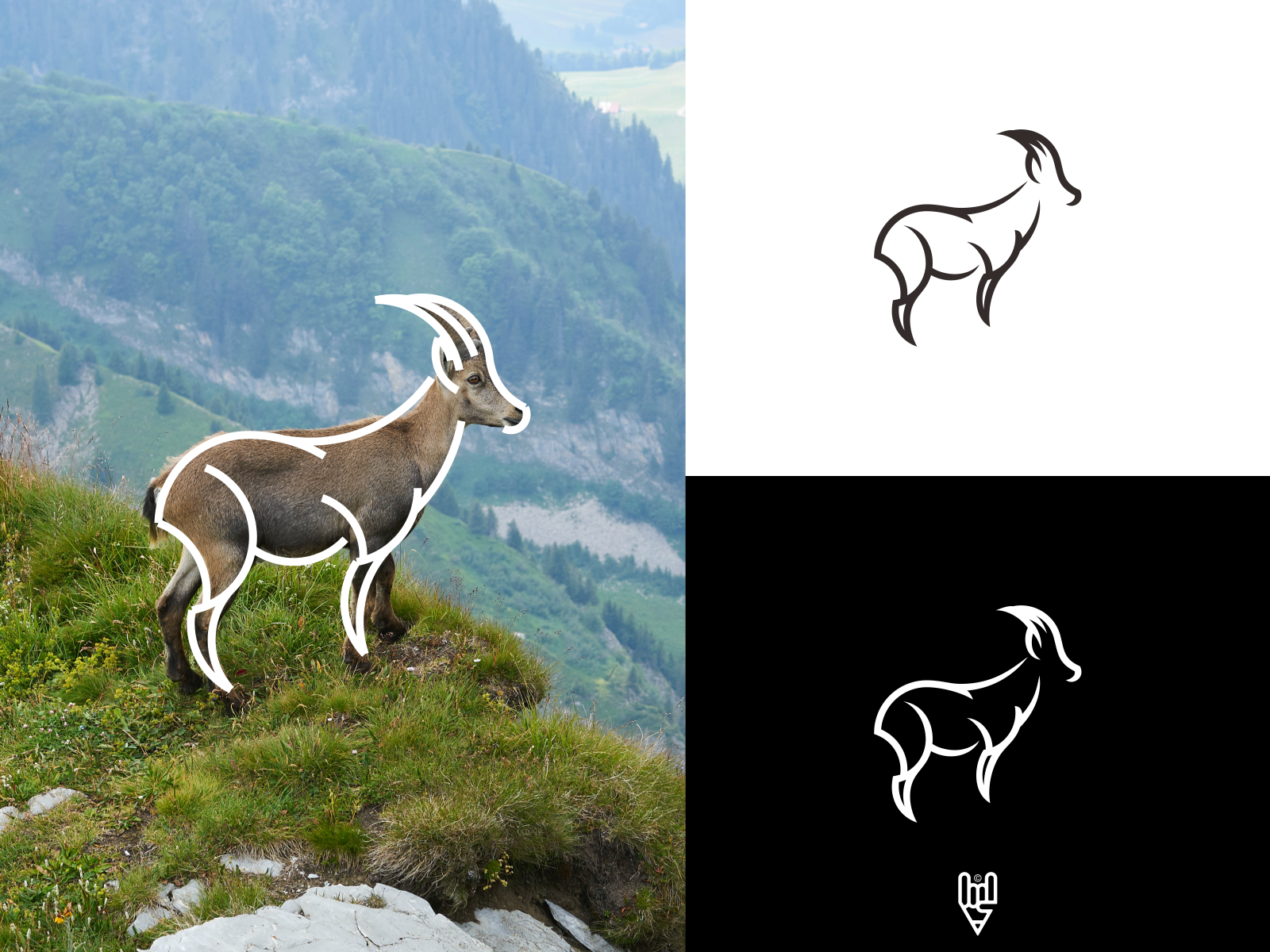 Ibex Logo Design by chartstudio on Dribbble