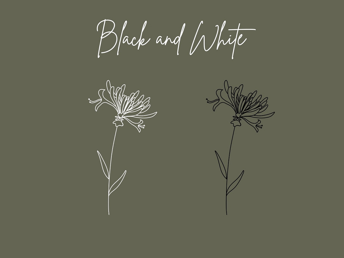 Detailed Birth Flowers Set 1 By Rebecca Wasserberg On Dribbble