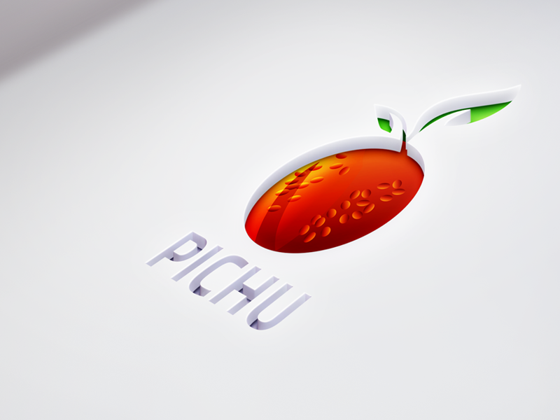 Pichu logo by Ayman Shaltoni on Dribbble
