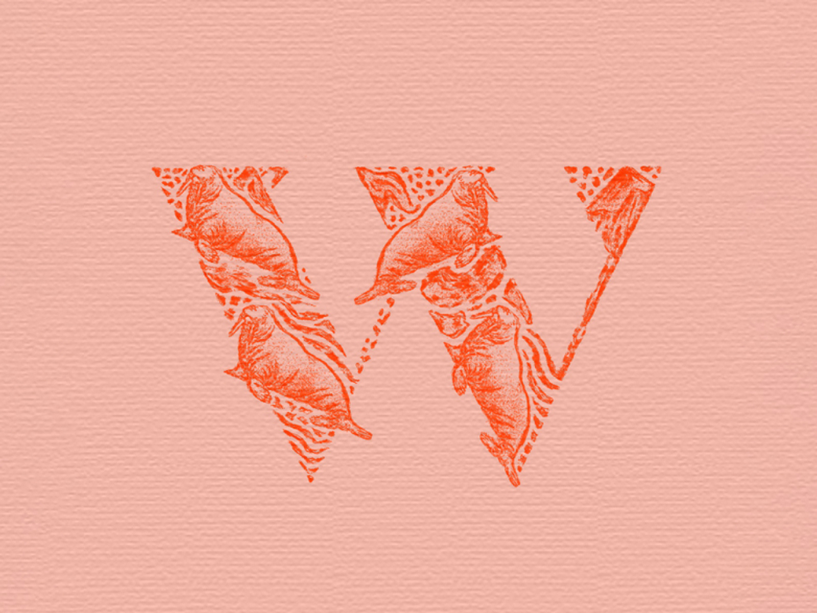Walrus Letter W by Avery Elias on Dribbble