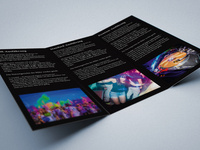 Dribbble - werkier-marketing-consulting-flyer-elef-photography2.jpg by ...