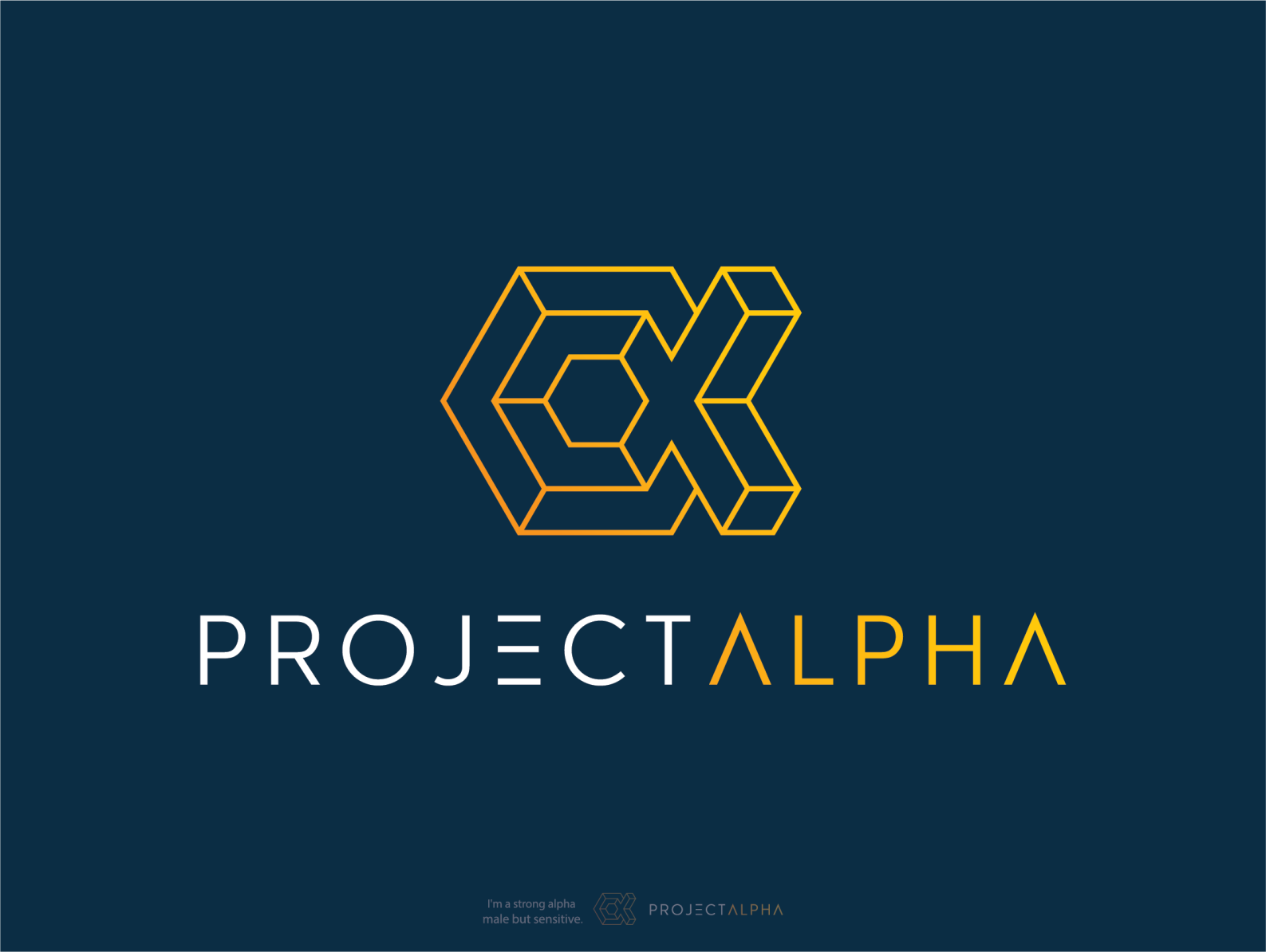 PROJECT ALPHA by Taymoor Ilyas on Dribbble