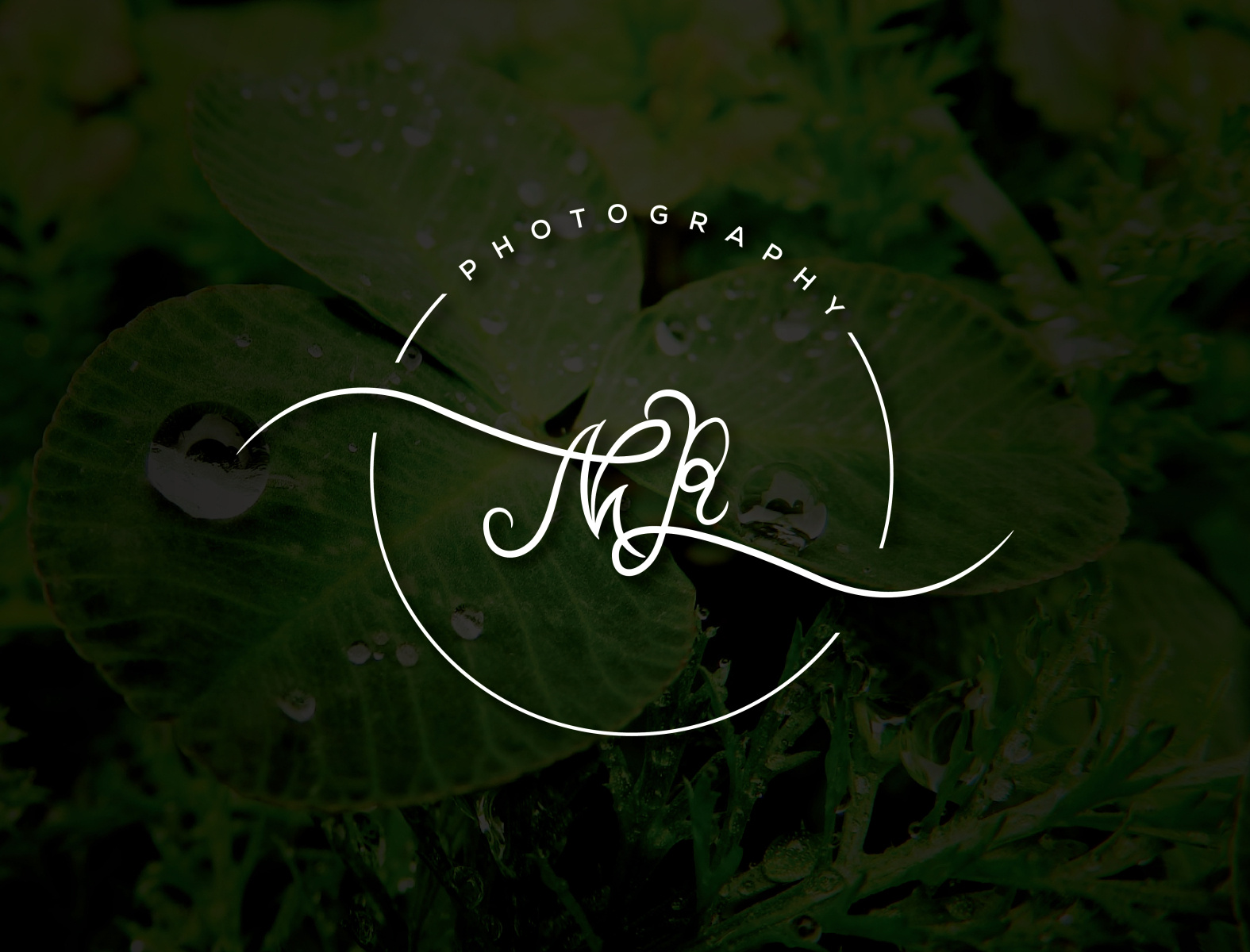 Photography signature logo design by Ibrahim Hussain Munna on Dribbble