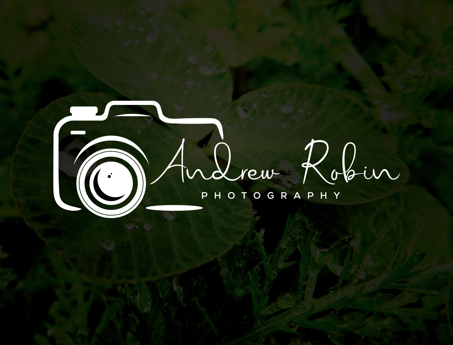 Photography signature logo design by Ibrahim Hussain Munna on Dribbble