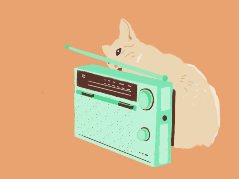 Cat & radio by Linh Tang on Dribbble